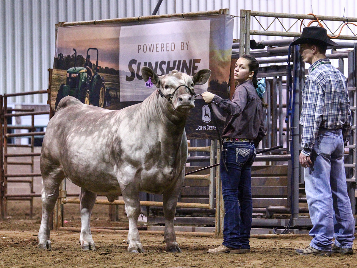 Grand Champion // 2018 LSU Livestock Show // Castrogovannie Family ...
