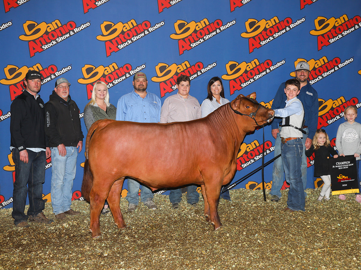 Champion Red Cross // 2019 San Antonio Stock Show // Drager Family ...