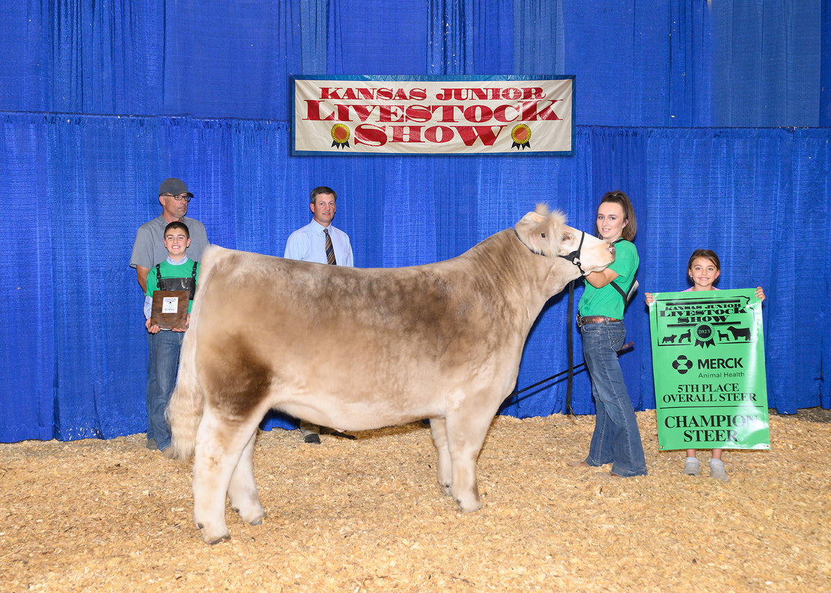 Ch Chi, 5th Overall // KJLS // Gerstner Family – 1Eleven Cattle
